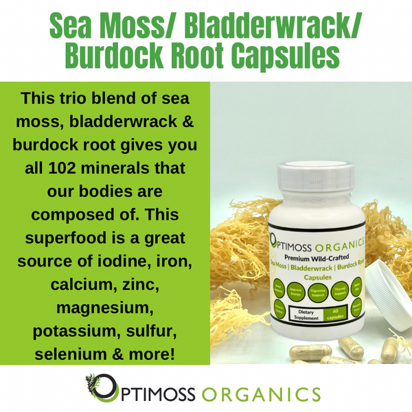 Sea Moss | Bladderwrack | Burdock Root Capsules – OptimossOrganics